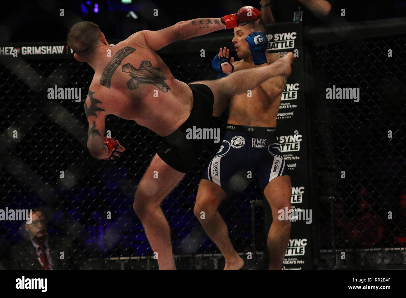 Dublin, Ireland, 23rd February 2019 - Bellator217, Dublin. Ian Cleary ...