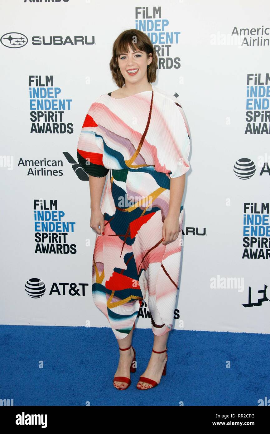 Los Angeles, USA. 23rd Feb, 2019. LOS ANGELES, CA - FEBRUARY 23: Ashley ...