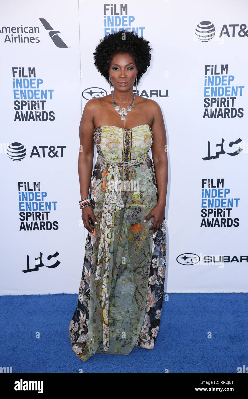 Santa Monica, California, USA. 23rd Feb, 2019. February 23, 2019 ...