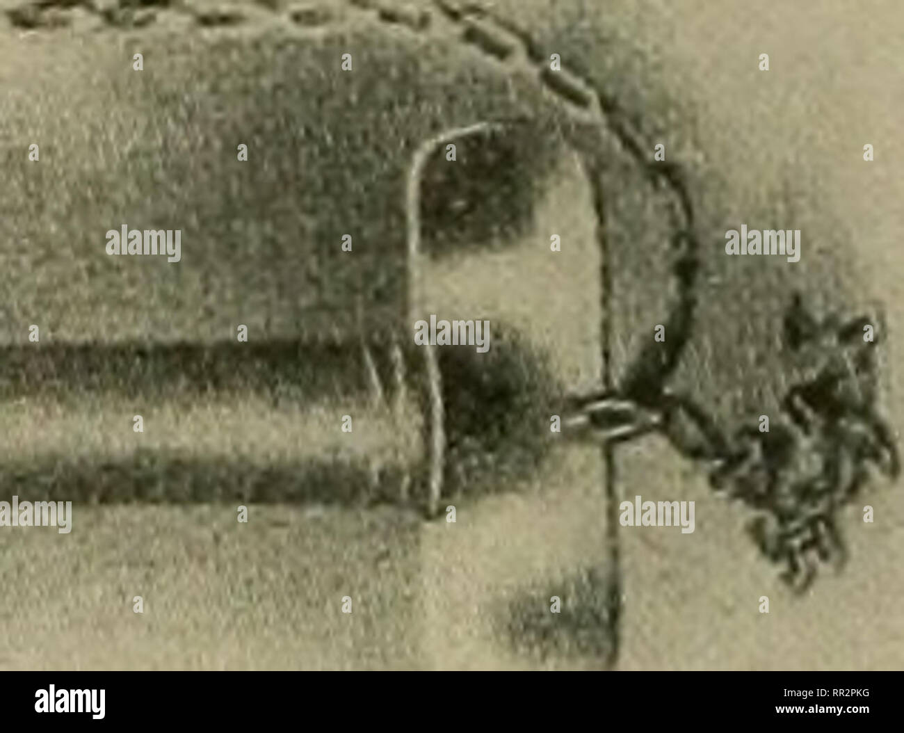 . Advanced lessons in practical physiology for students of medicine ...