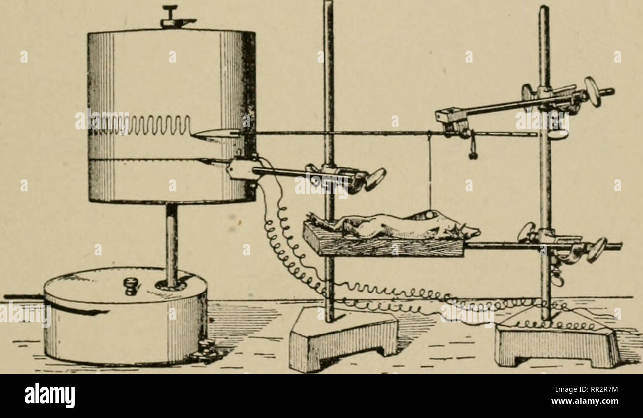. Advanced lessons in practical physiology for students of medicine ...
