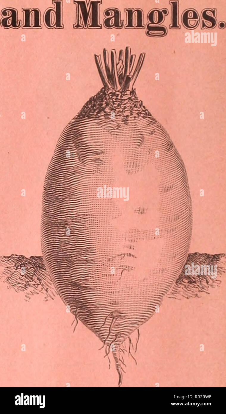 Mangle with flowers hi-res stock photography and images - Alamy