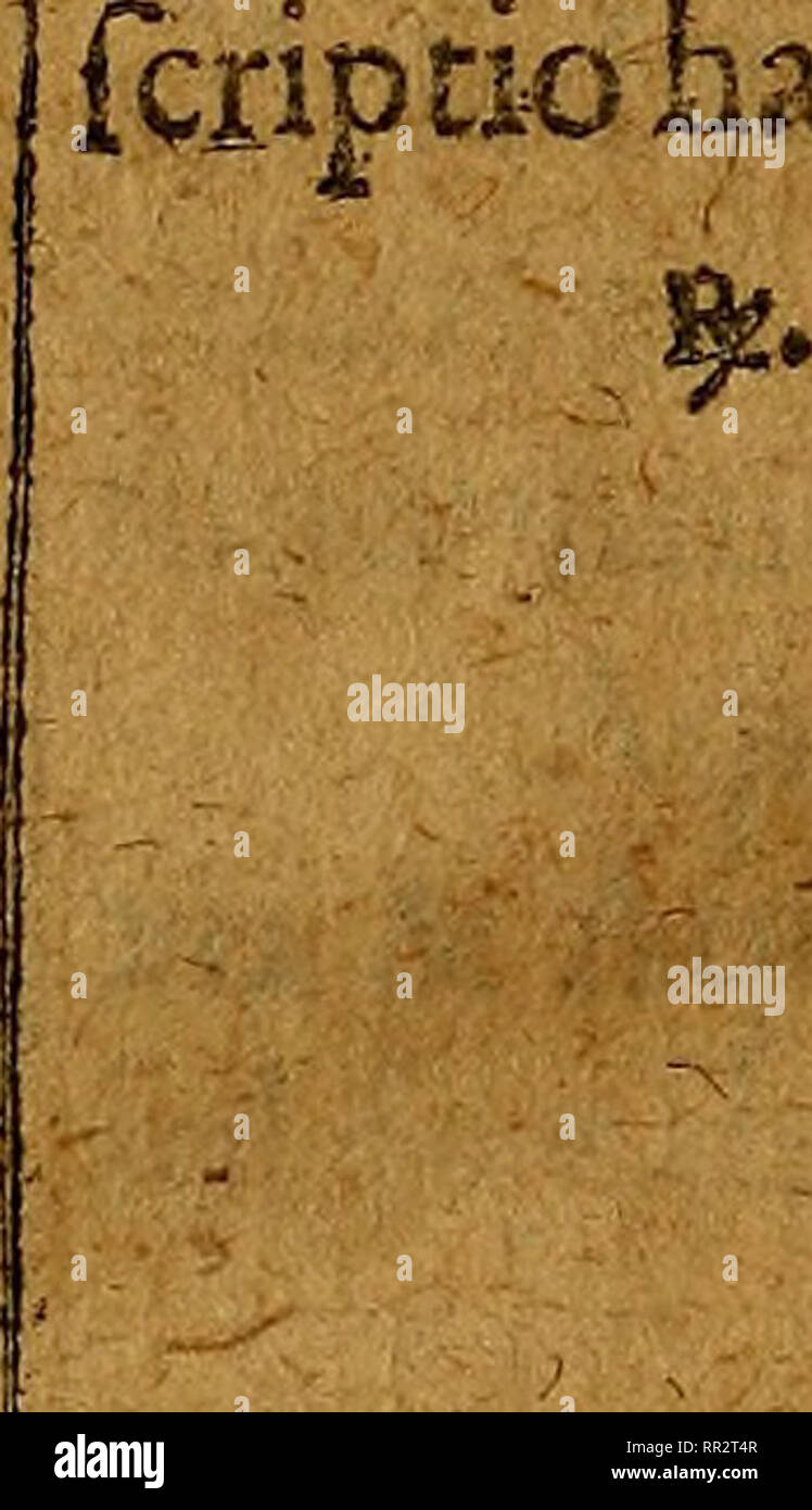 Formato m hi-res stock photography and images - Alamy