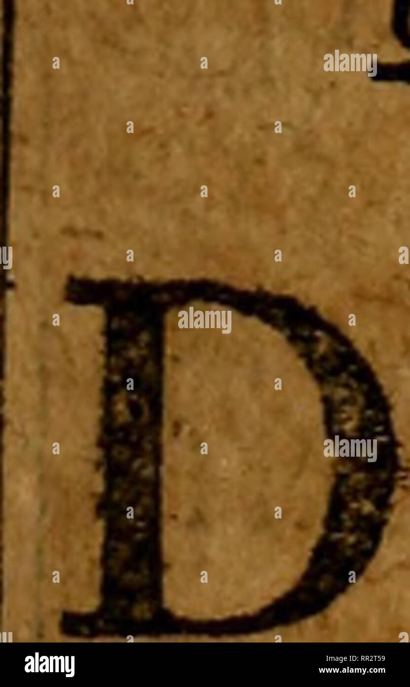 Formato b hi-res stock photography and images - Alamy