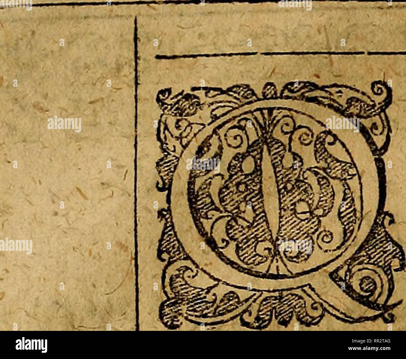 Formato t hi-res stock photography and images - Alamy