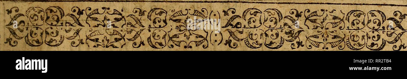 Brvxellensis hi-res stock photography and images - Alamy