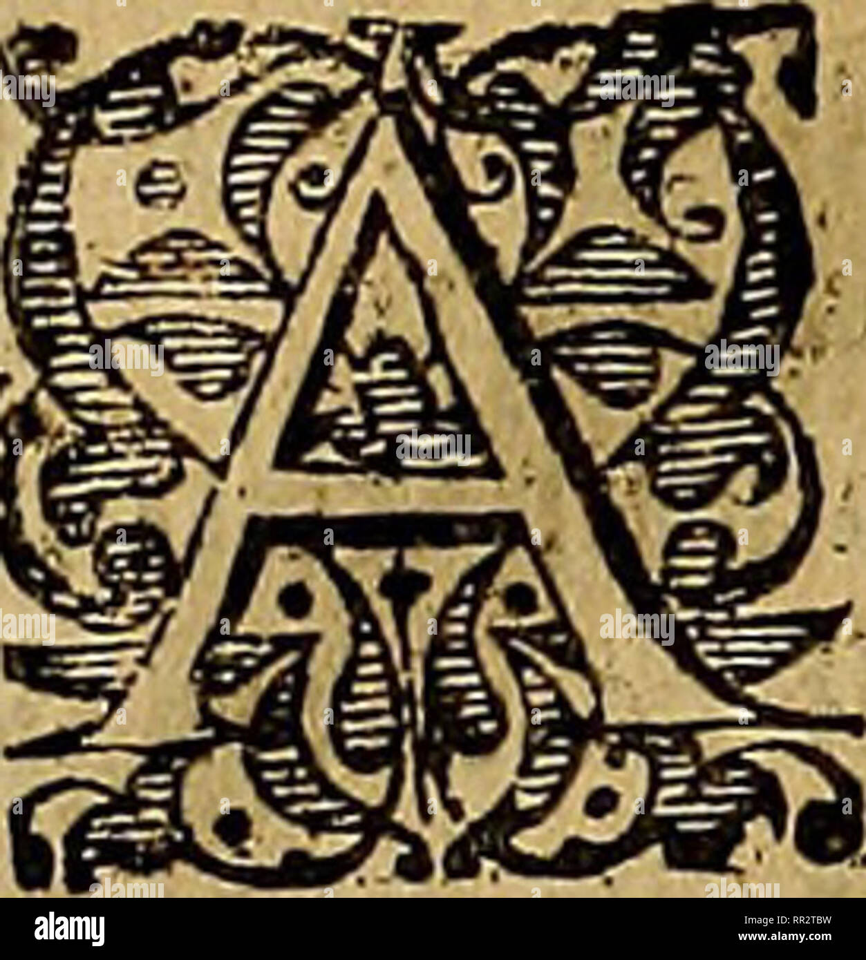 Brvxellensis hi-res stock photography and images - Alamy