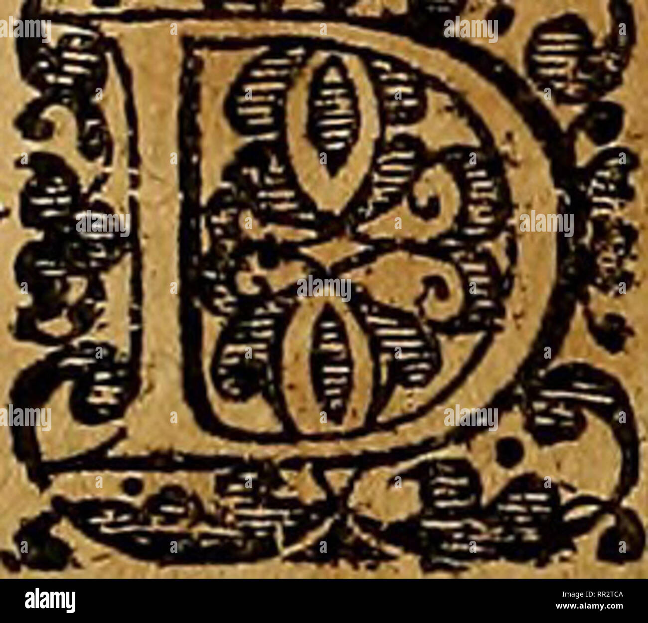 Ligere hi-res stock photography and images - Alamy