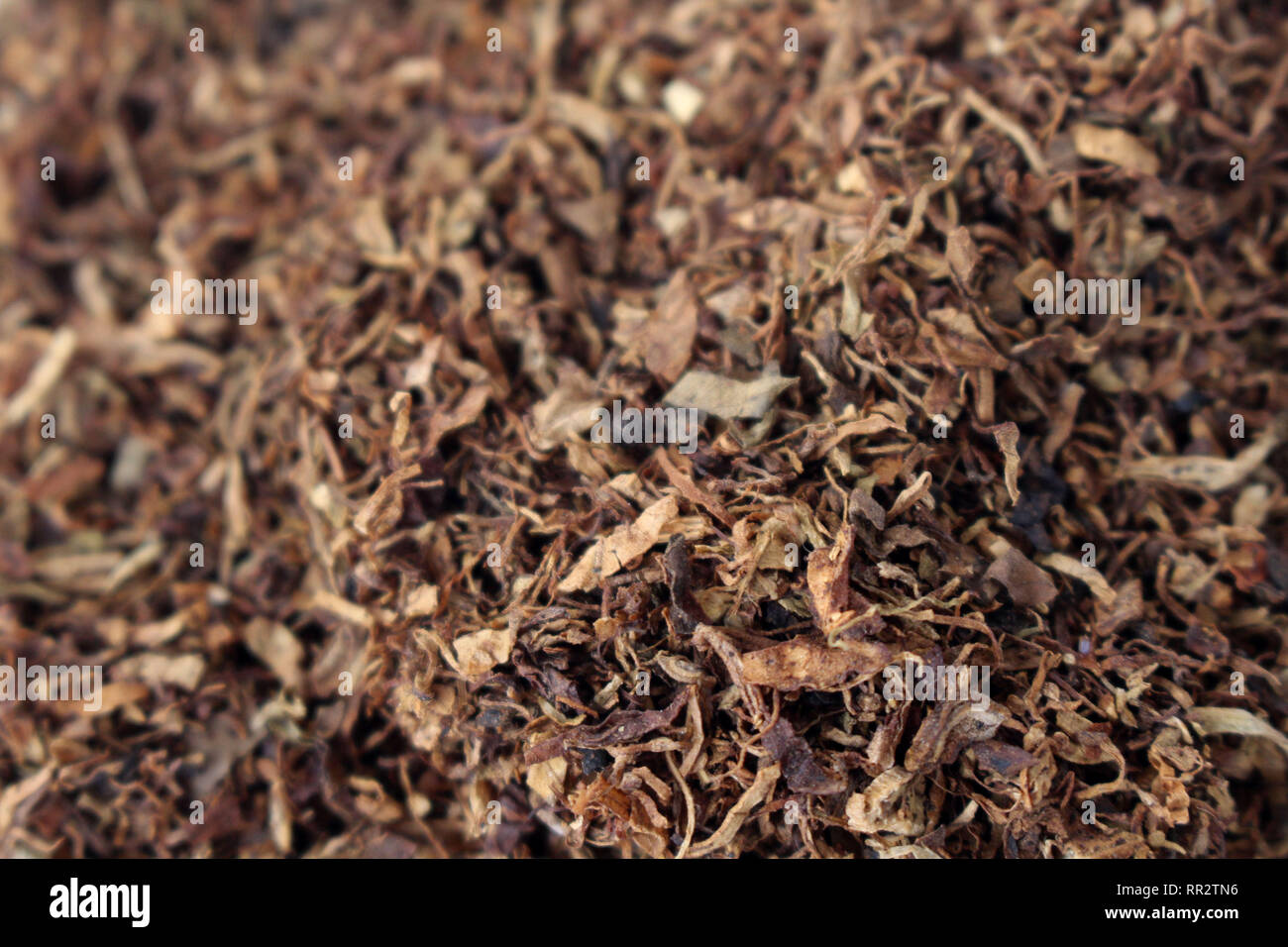 The brown tobacco flakes. This one grows in Indonesia Stock Photo - Alamy