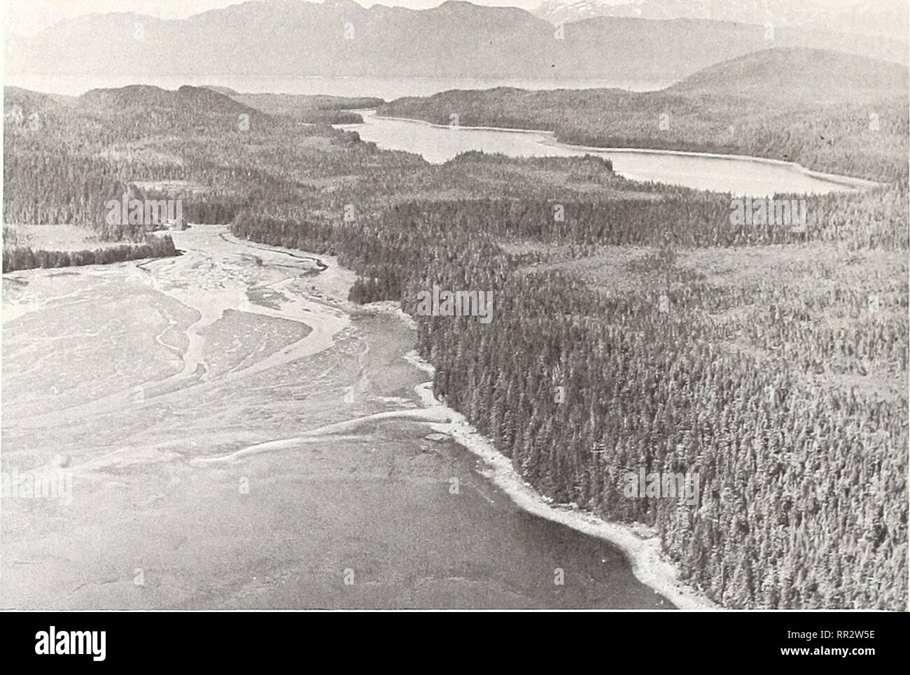 . Admiralty Island interim guidelines. . Oliver Inlet, background ...