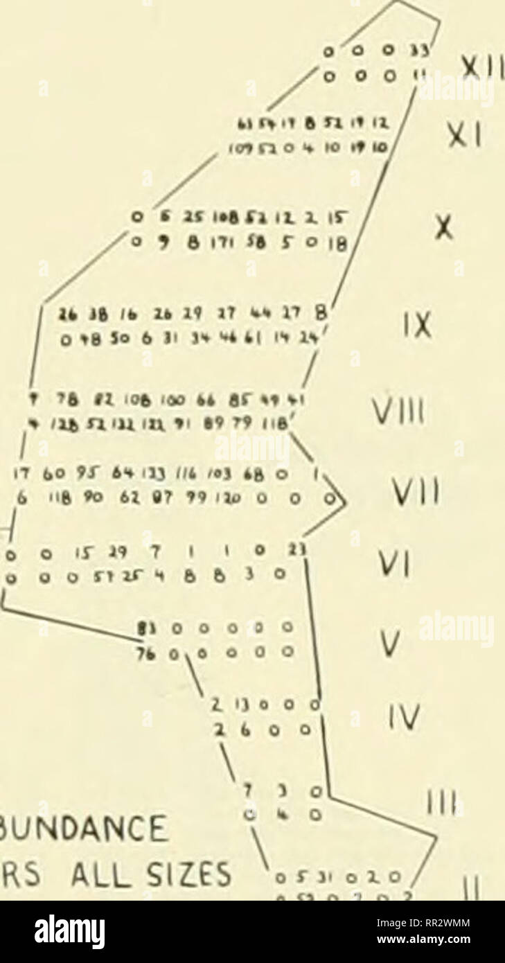 Shellfish chart hi-res stock photography and images - Alamy