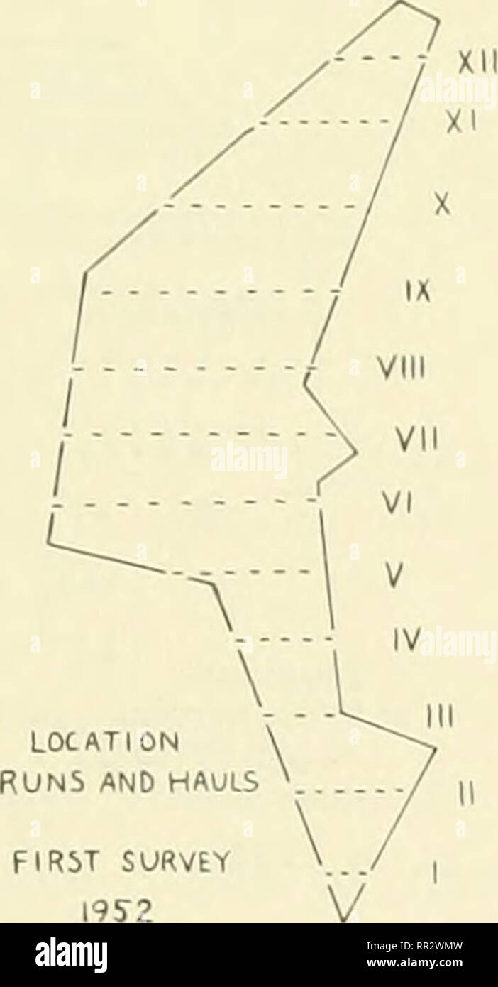 Shellfish chart hi-res stock photography and images - Alamy
