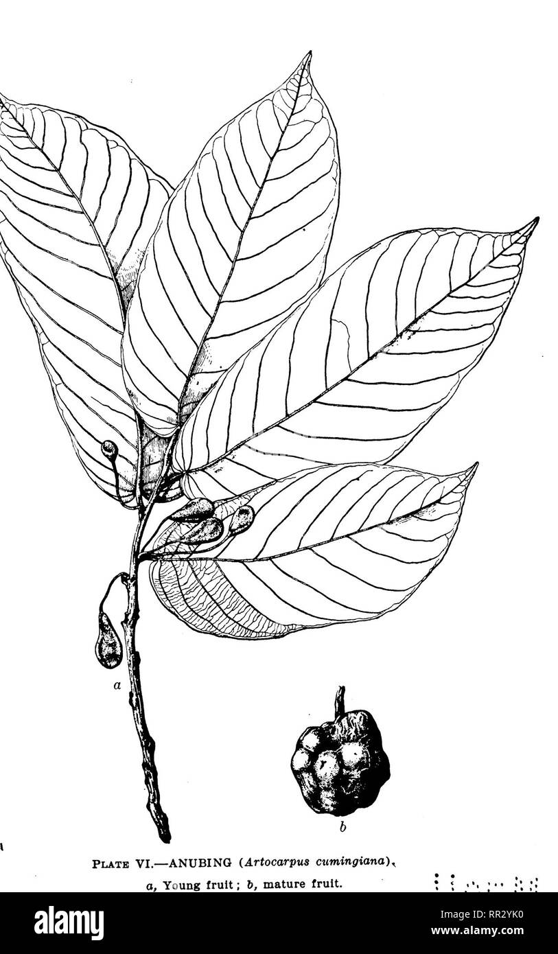 Antipolo Black and White Stock Photos & Images - Alamy