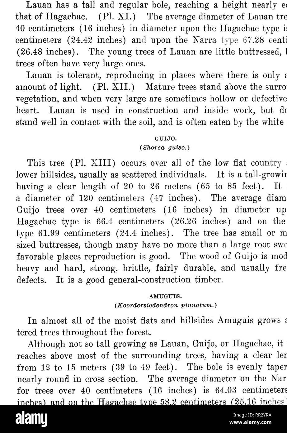 Philippines lauan tree hi-res stock photography and images - Alamy