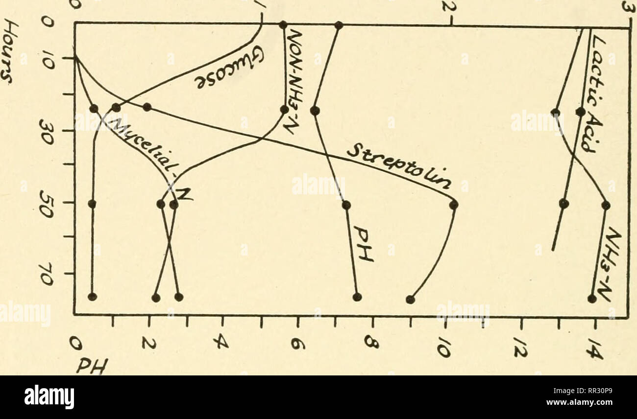 . The actinomycetes: their nature, occurrence, activities, and ...