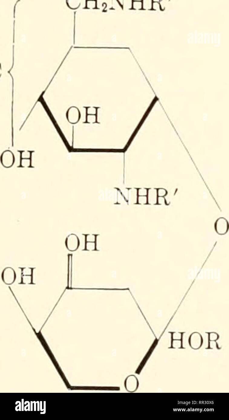 Amines hi-res stock photography and images - Alamy