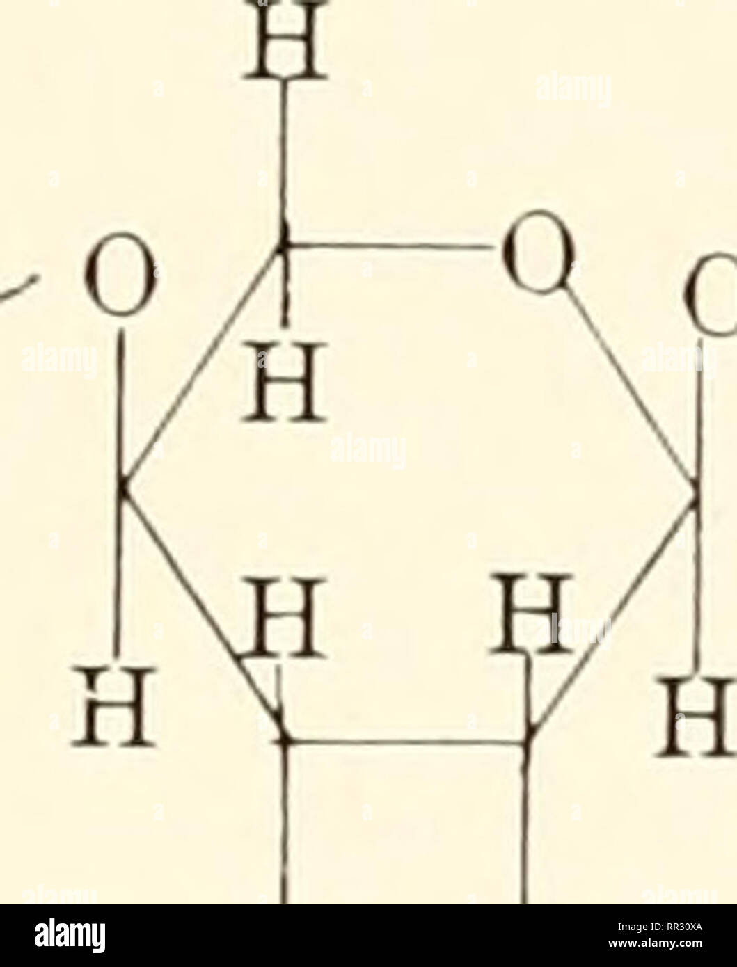 . The actinomycetes. Actinomycetales. DESCRIPTIONS OF ANTIBIOTICS 315 ...