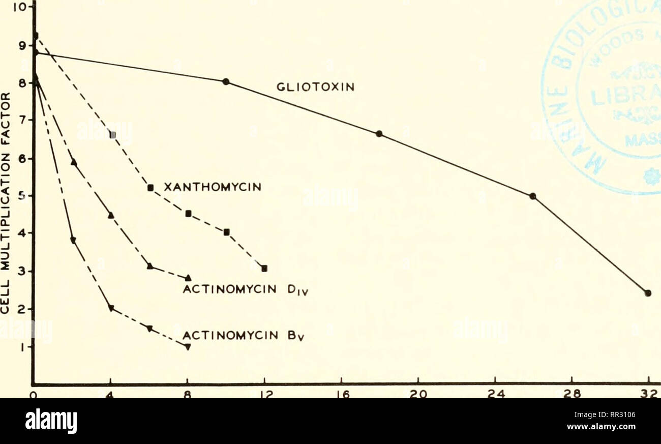 . The actinomycetes. Actinomycetales. ANTIMICROBIAL AND ANTITUMOR ...