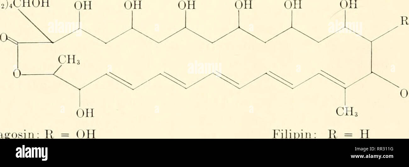 Five carbon sugar hi-res stock photography and images - Alamy