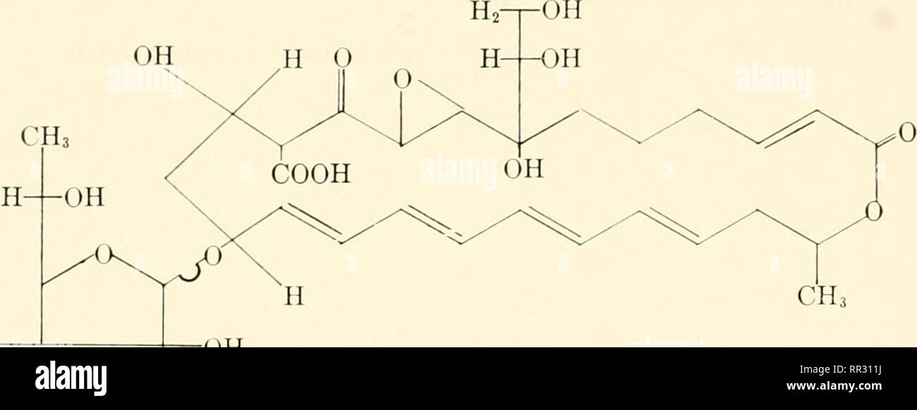 Acterial hi-res stock photography and images - Alamy