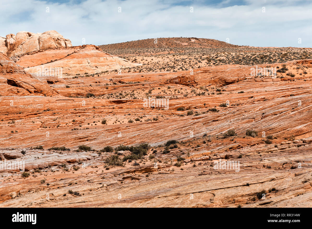 Solid stone desert at Valley of Fire State Park in Southern Nevada, USA ...
