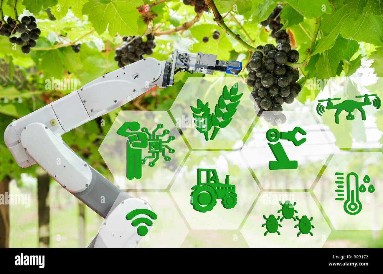 Agricultural Robot High Resolution Stock Photography and Images - Alamy
