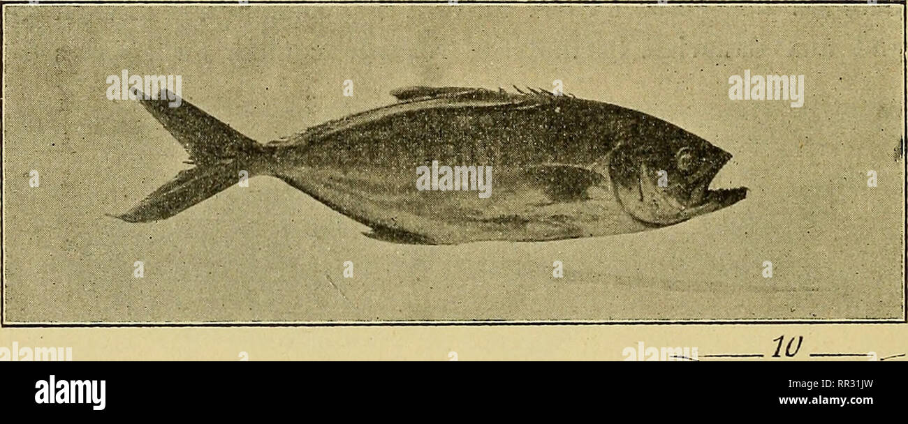 . Actes de la Société linnéenne de Bordeaux. Science; Natural history ...