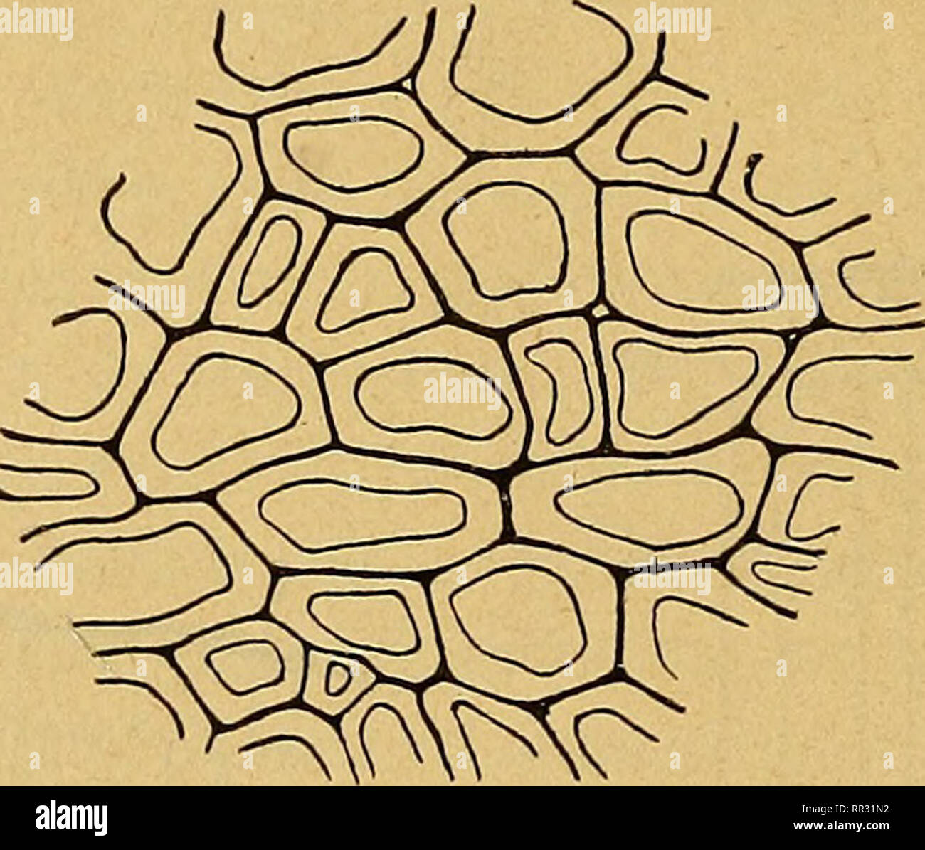 Assises liège hi-res stock photography and images - Alamy