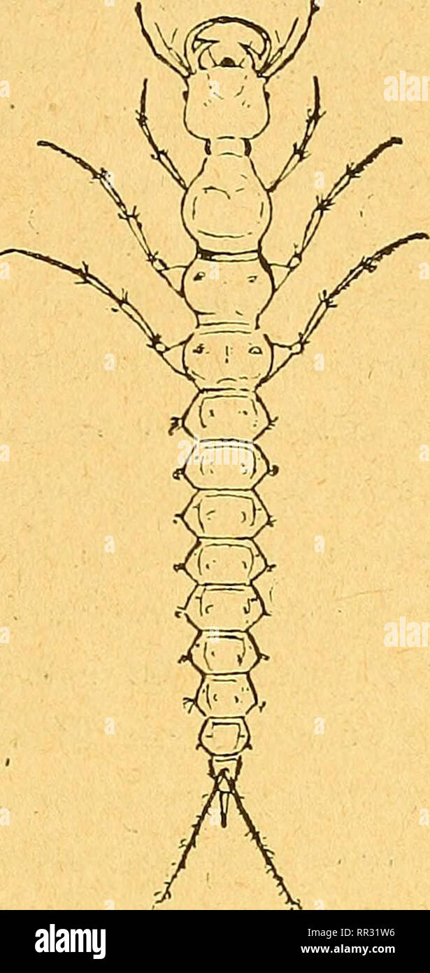 Marcher toute la longueur hi-res stock photography and images - Alamy