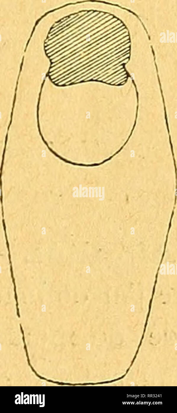 Lz 38 hi-res stock photography and images - Alamy