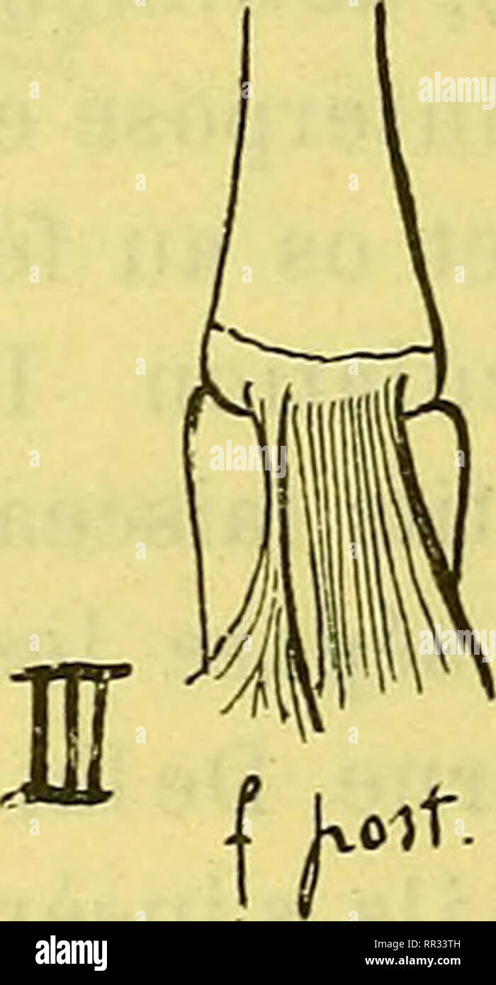 Lame de microscope hi-res stock photography and images - Alamy
