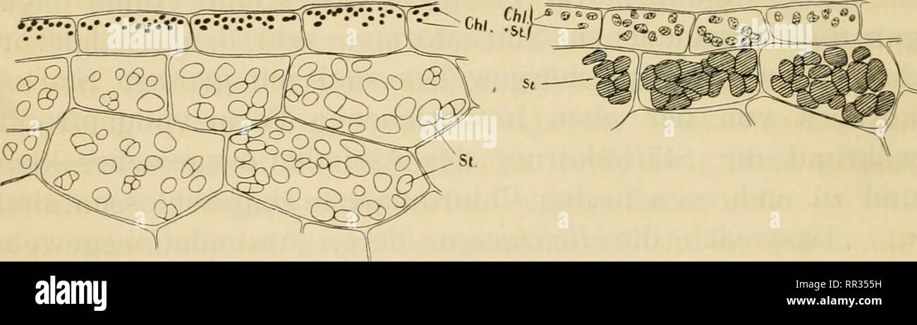 . Acta Soc. pro Fauna et Flora Fennica. Natural history. 20 Rancken ...
