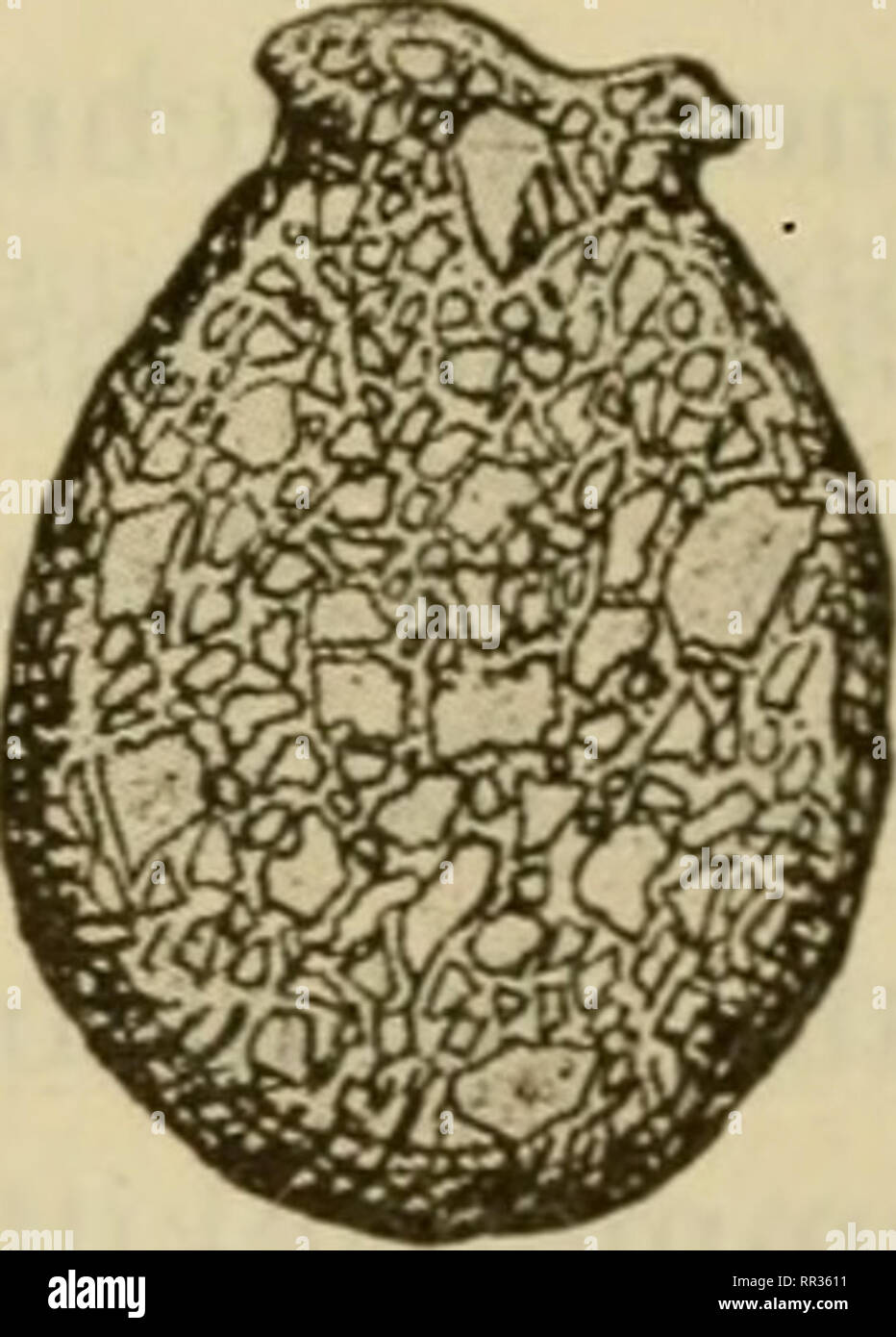 . Acta Soc. pro Fauna et Flora Fennica. Natural history. Acta ...