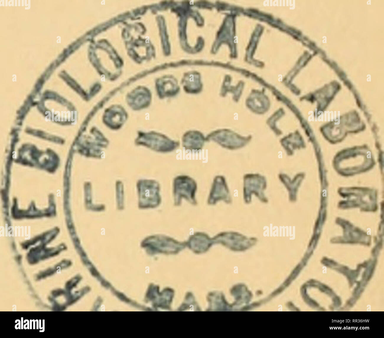 . Acta Societatis Scientiarum Fennicae. Science. Gamma- und ...