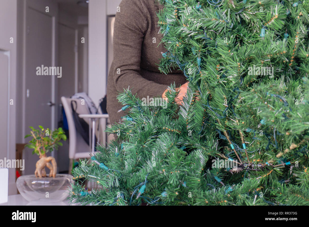 Woman behind an artificial Christmas tree, setting up the holiday ...