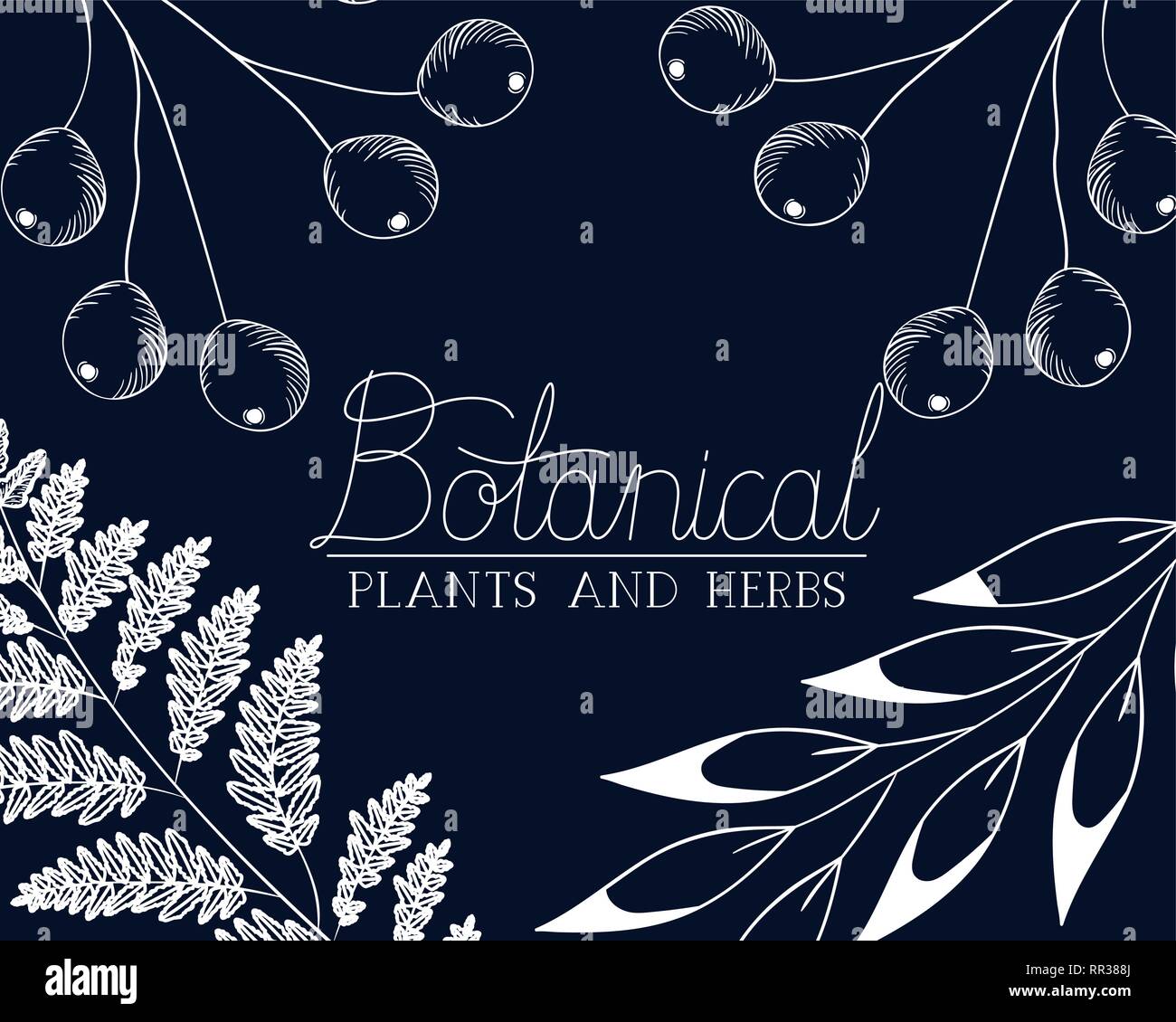 botanical label with plants and herbs Stock Vector Image & Art - Alamy