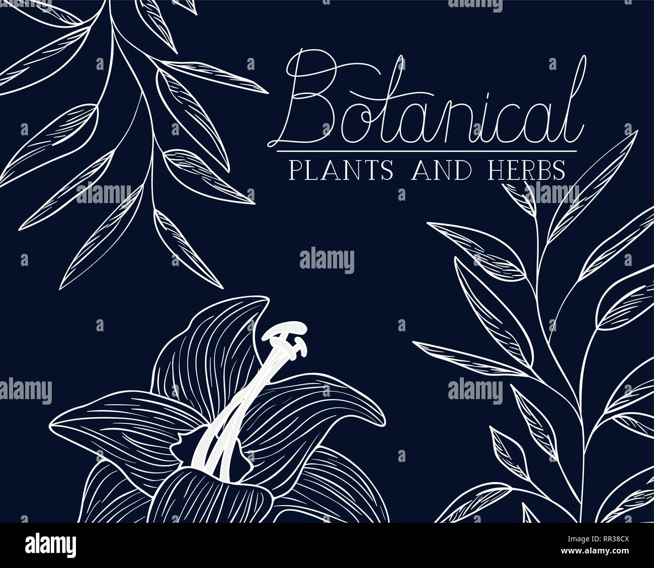 botanical label with plants and herbs Stock Vector Image & Art - Alamy