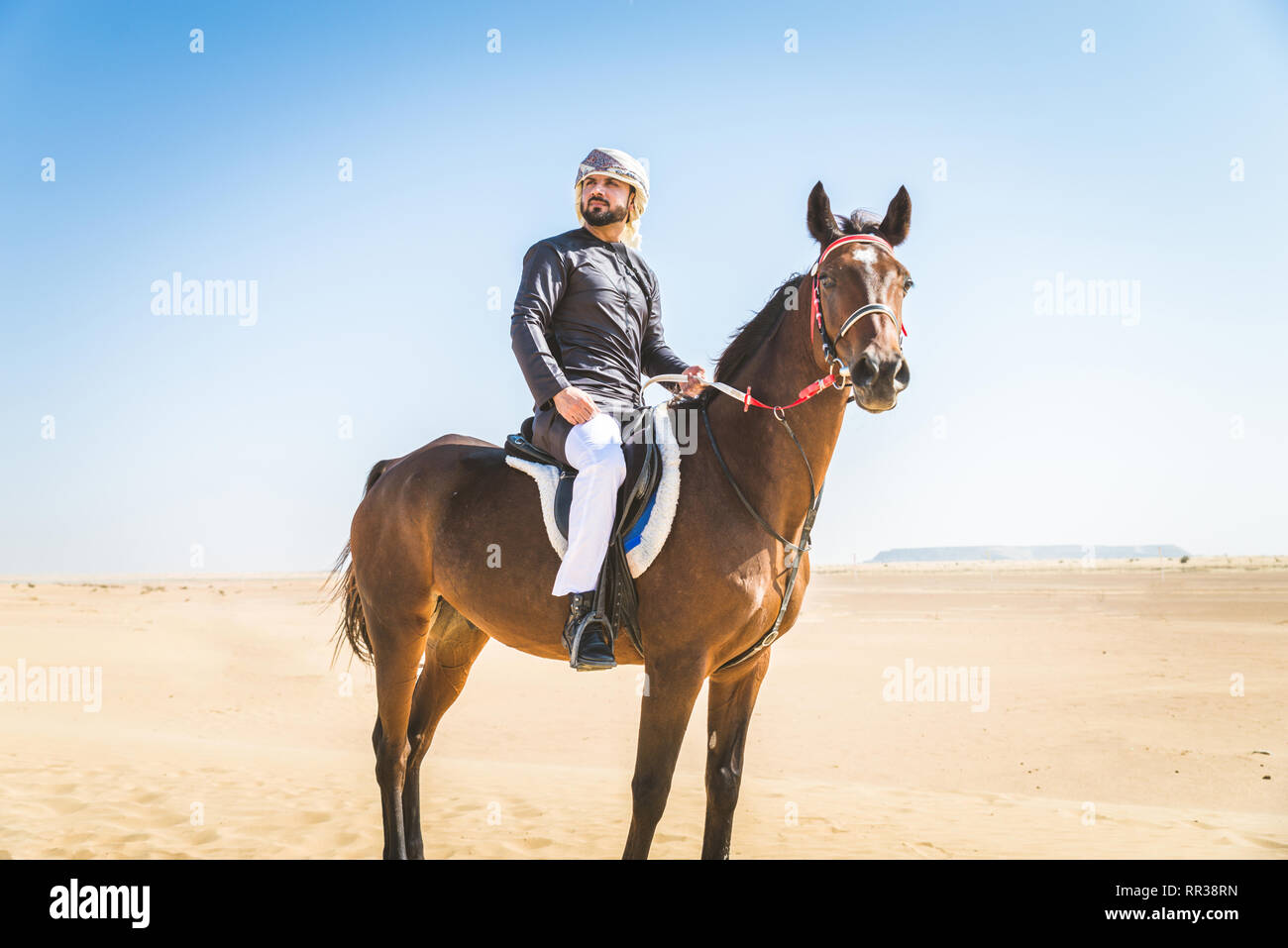 Arab man walk horse hi-res stock photography and images - Alamy