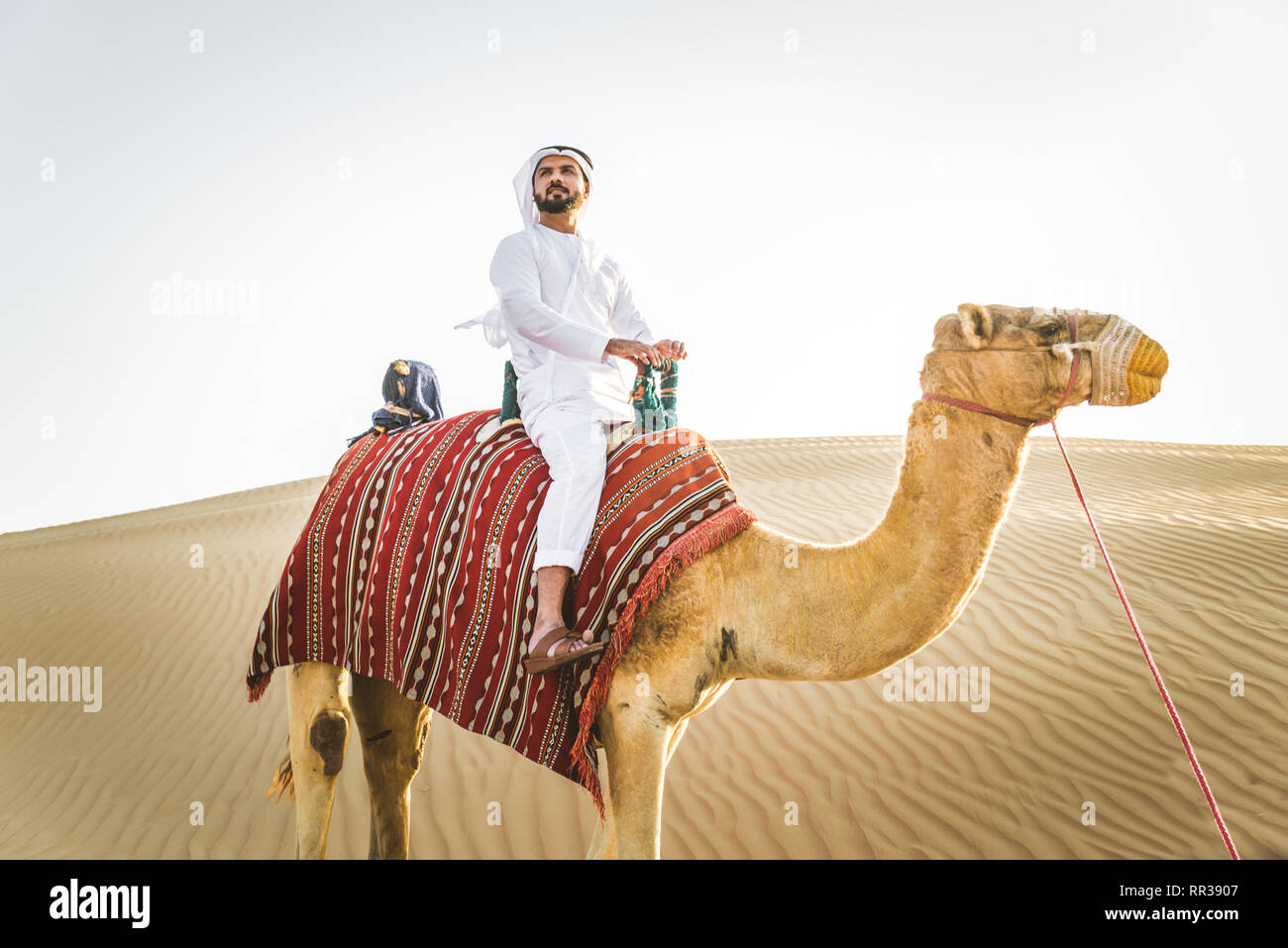 Arab Man Riding Camel On High Resolution Stock Photography and Images ...