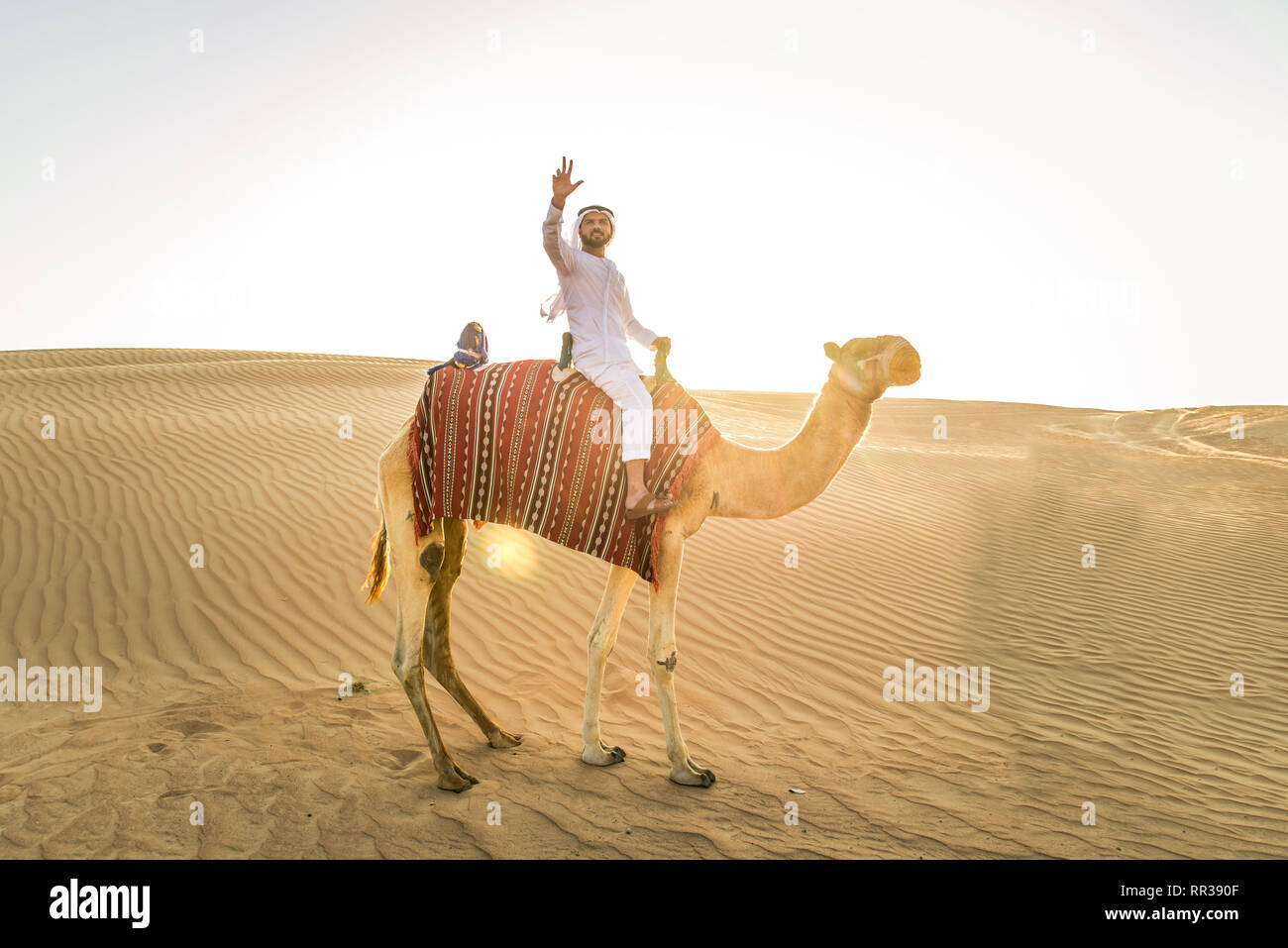 Arab Man Riding Camel On High Resolution Stock Photography and Images ...