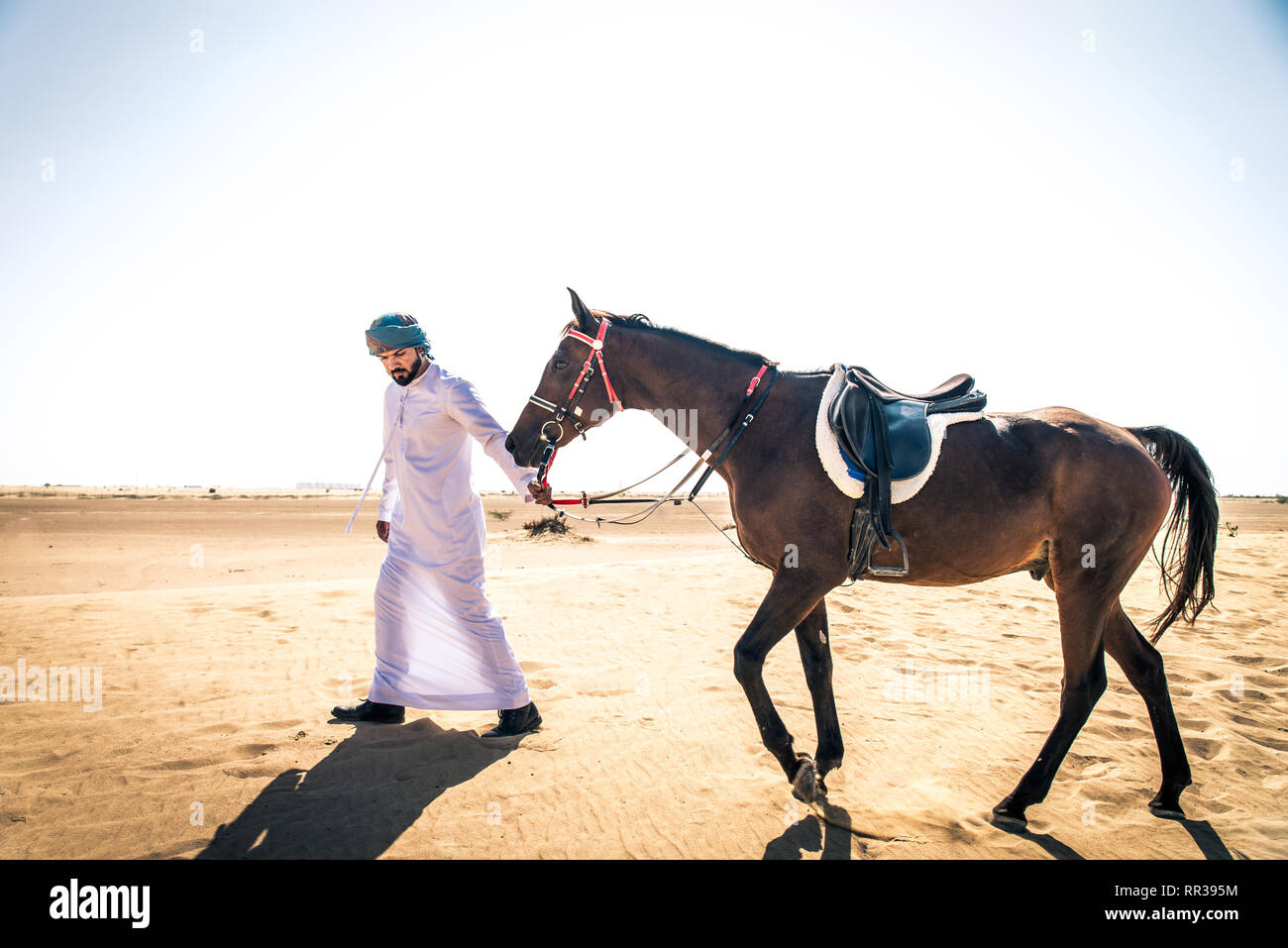 Arab riding horse in desert hi-res stock photography and images - Alamy