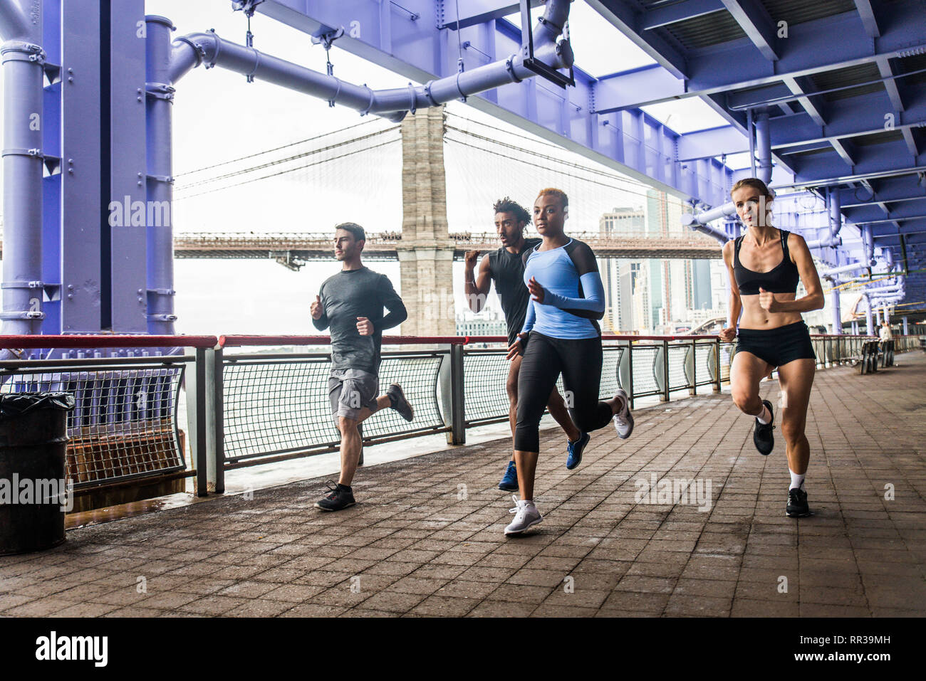 Multi-ethnic group of runners training outdoors - Sportive people ...