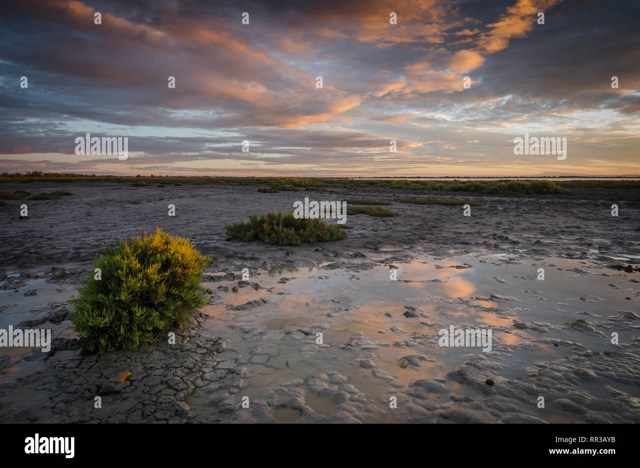 sunrise over the Camargue wetlands in Provence France Stock Photo - Alamy