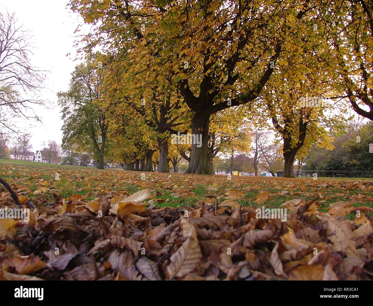 At East Park In Hull High Resolution Stock Photography and Images - Alamy