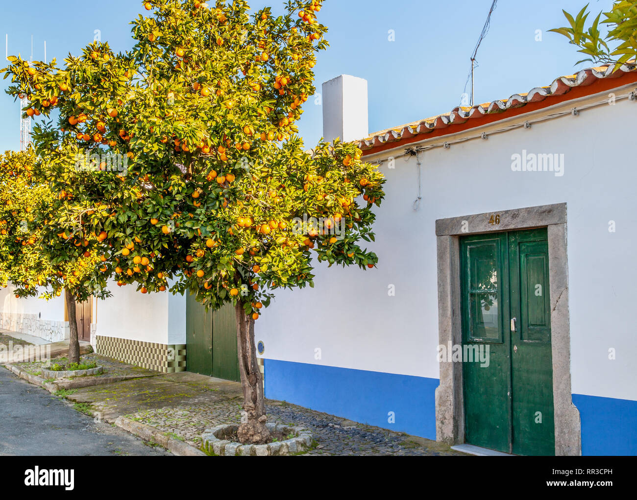 Orange trees Allley in the colorful city Mourao in the Sunny Alentejo ...