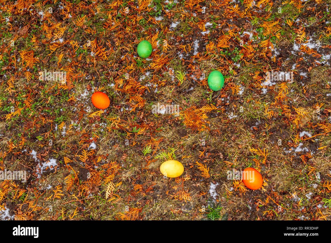 Grass on orange background design hi-res stock photography and images ...