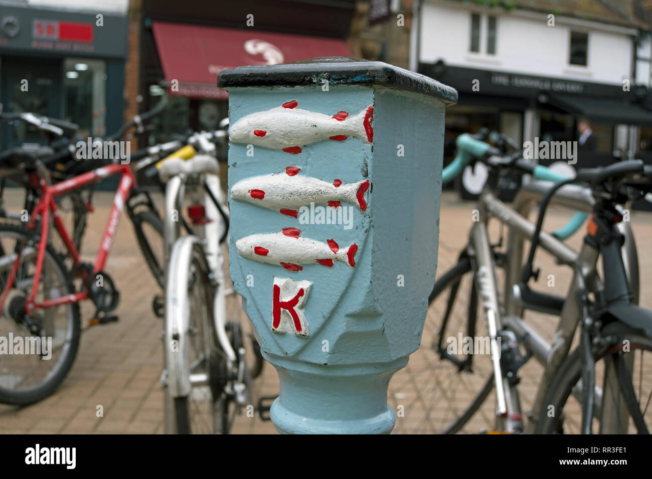three salmon on a blue background, part of the ancient coat of arms of ...