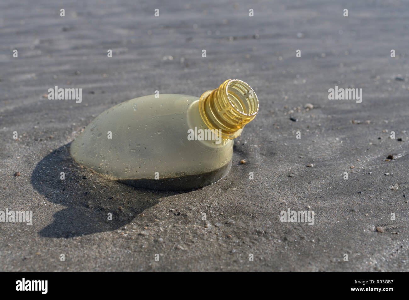 Empty plastic soft drink bottle left embedded in silty sand of beach ...