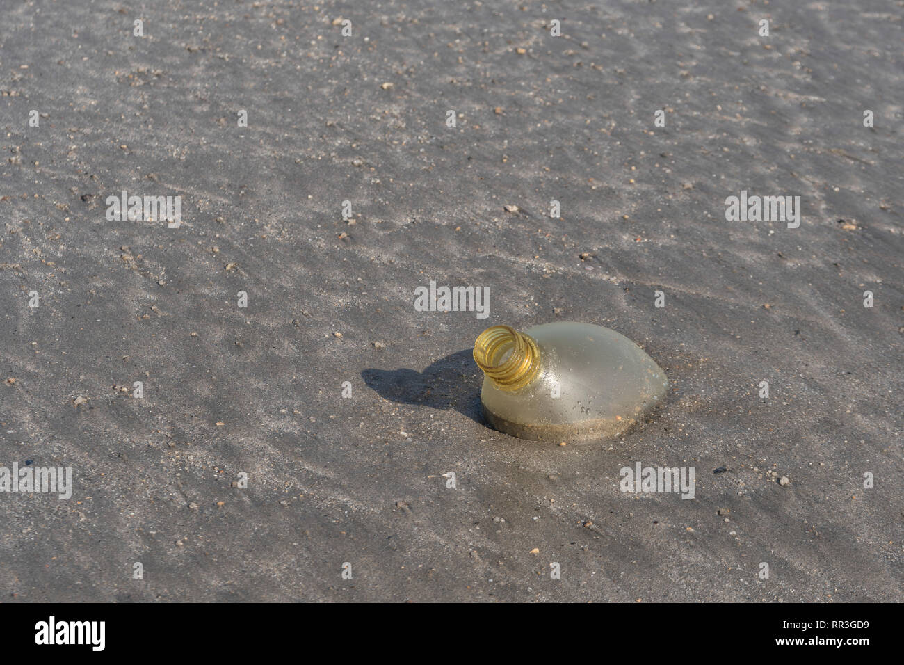 Empty plastic soft drink bottle embedded in silty beach sand. For ...