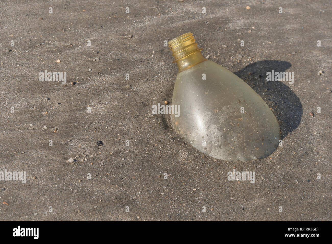 Empty plastic soft drink bottle embedded in silty beach sand. For ...